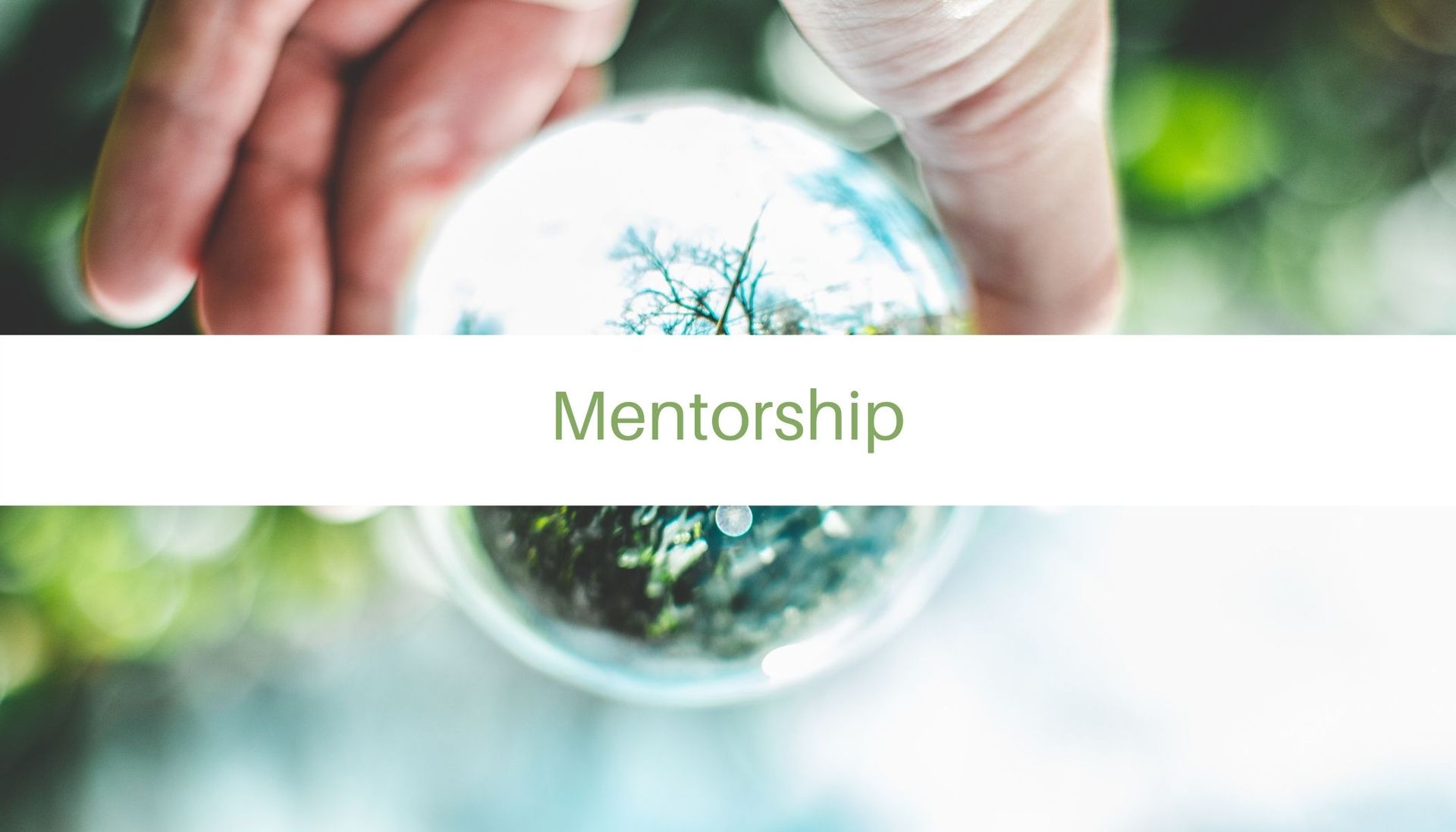 What Can Science Tell Us About Mentoring? | Mentorship Series | AIM Website